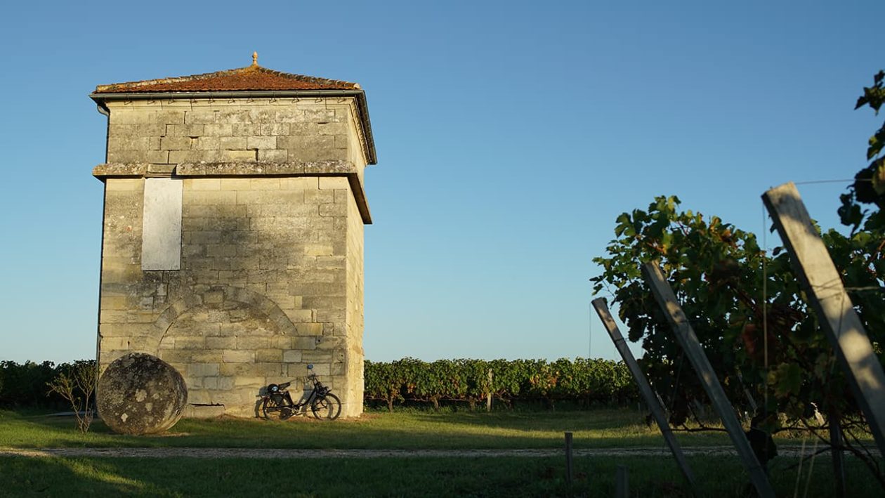 Le Domaine du Château Tour Perey | Tradition, terroir et excellence